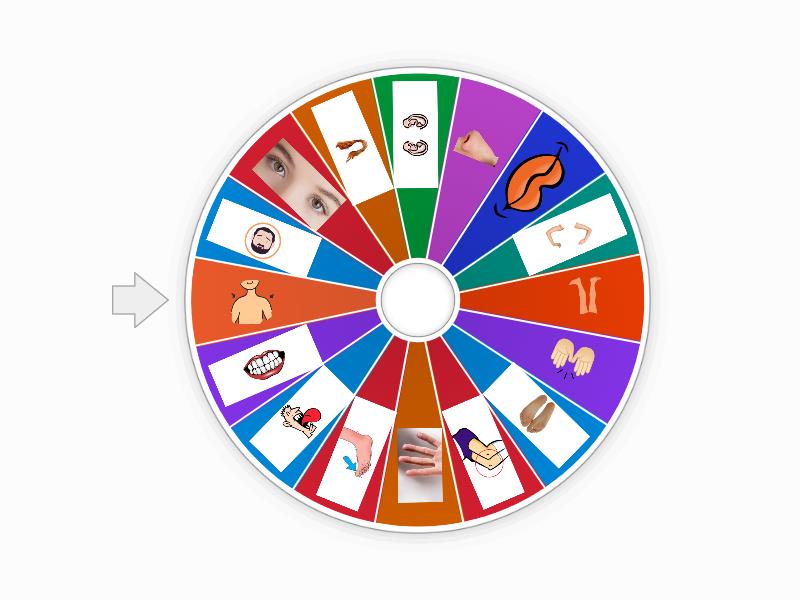 Jr2_Unit3: Body Parts Wheel - Spin the wheel