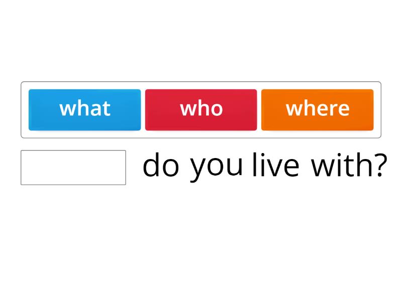 Complete the sentences using Wh- questions what, where and who ...