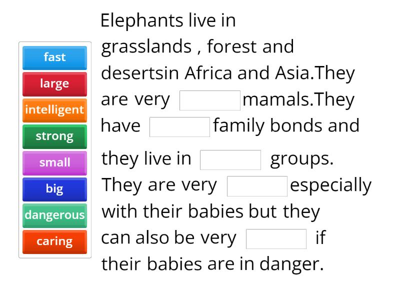 Wild Animals - Complete the sentence