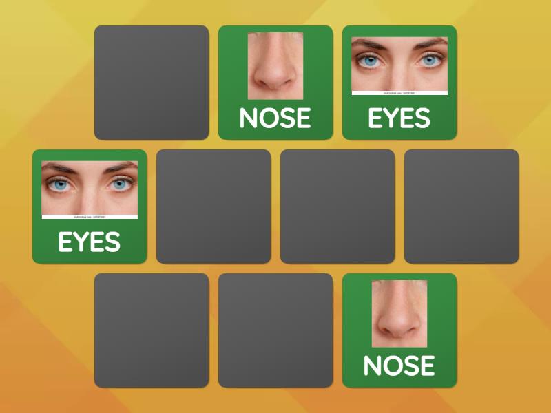 5 parts of the face - Matching pairs