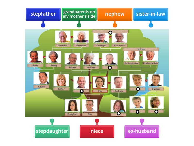 Complete the family tree with the words in the box - Labelled diagram