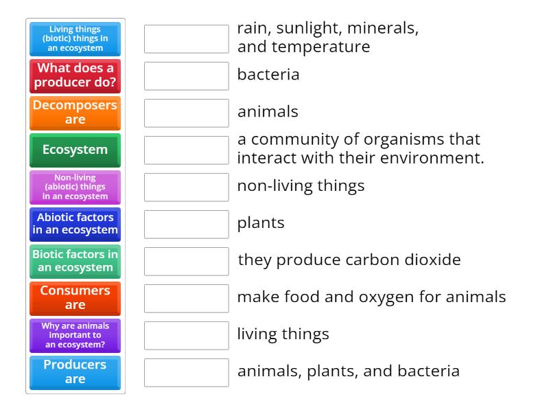 Ecosystems - Match up