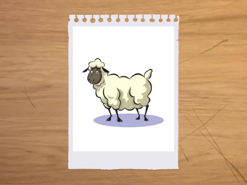 Power Up 1 Unit 3 flashcards - Flash cards