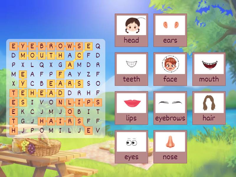 words search parts of the face - Wordsearch