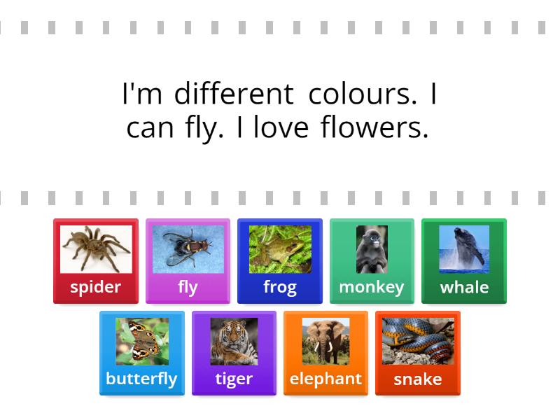 Go Getter 1 u 7 (animals) - Find the match