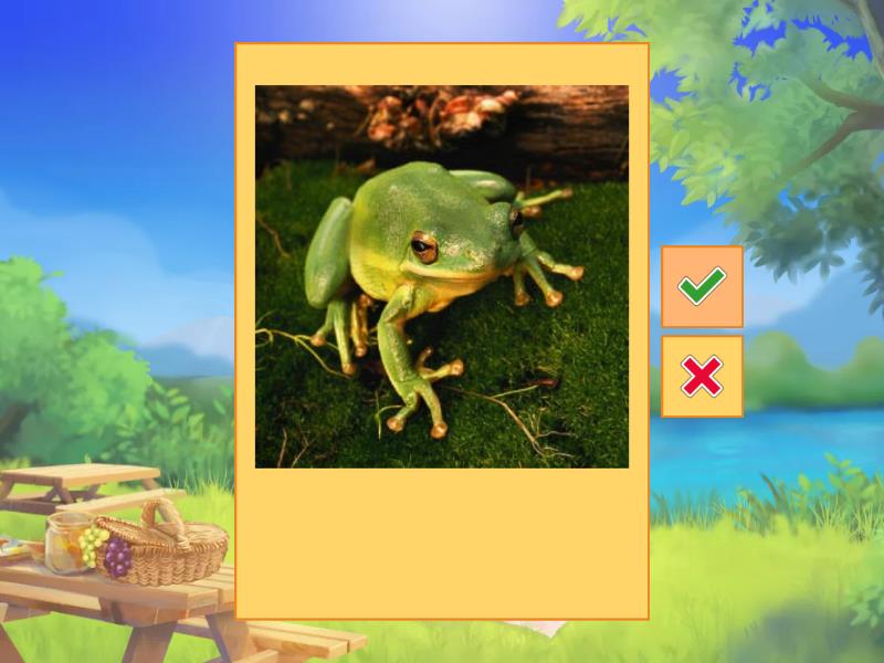 Go getter 1.adjectives/ animals - Flash cards