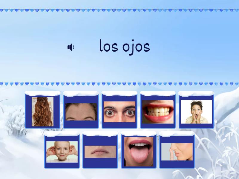 Las partes de la cara quiz - Find the match