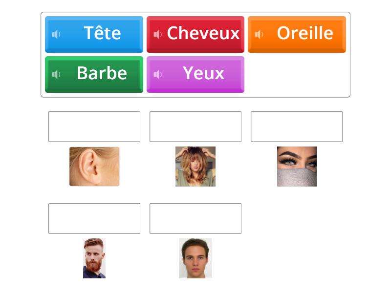 Parties du visage. - Match up