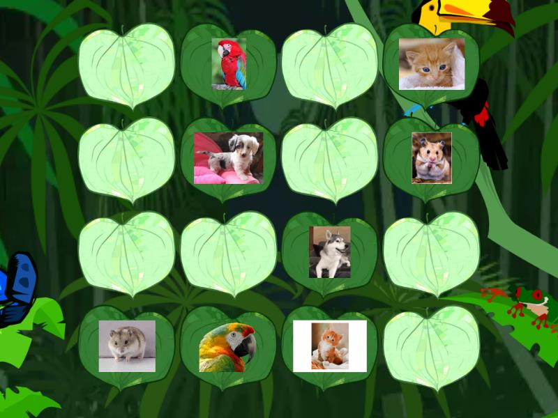 Pets - Matching pairs