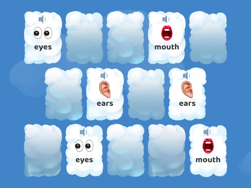 My Body - Matching pairs