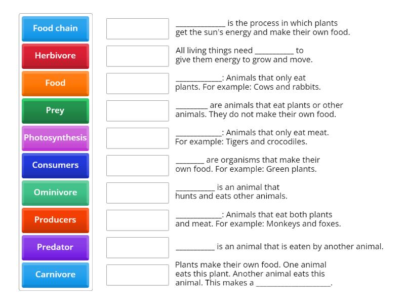 Food chains game - Match the word to the definition - Match up