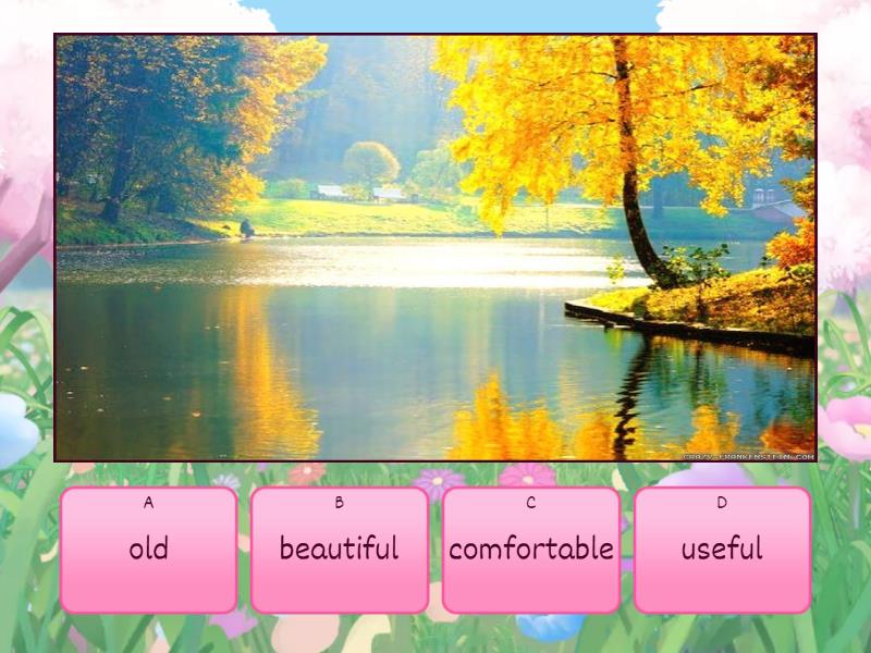 Roadmap elem 2C Voc - Quiz