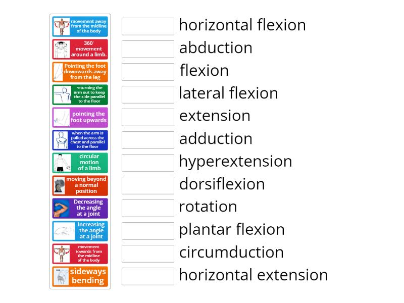 Movement Types - Match up