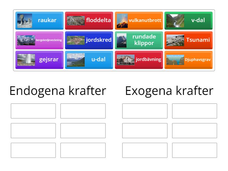 Endogena & exogena krafter - Group sort