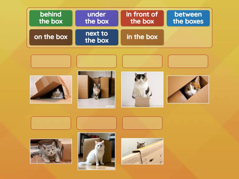 Prepositions of place Cats - Une las parejas