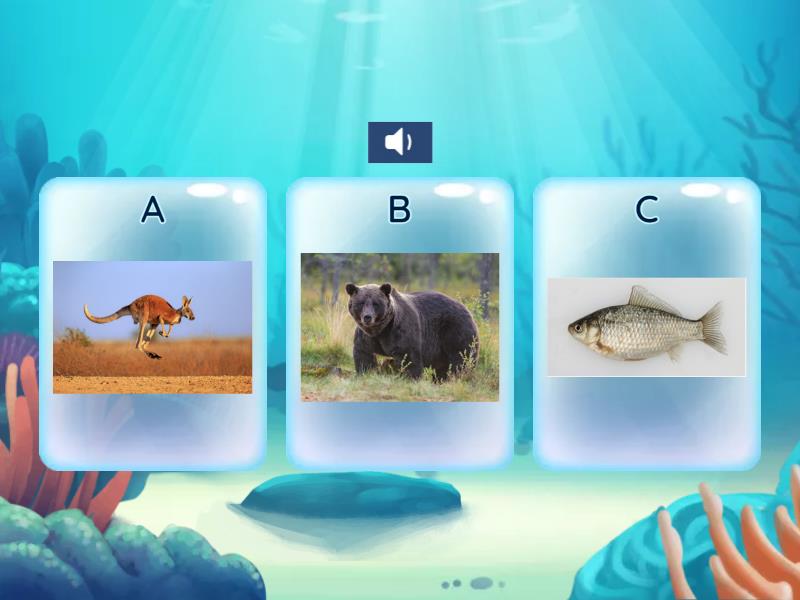 Grade 2 Unit 3 - Quiz