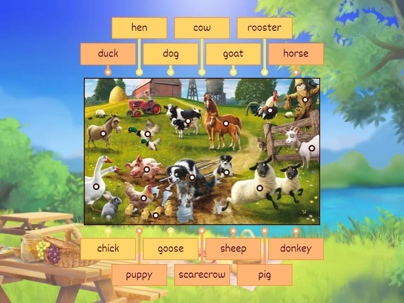 Farm animals picture - Labelled diagram