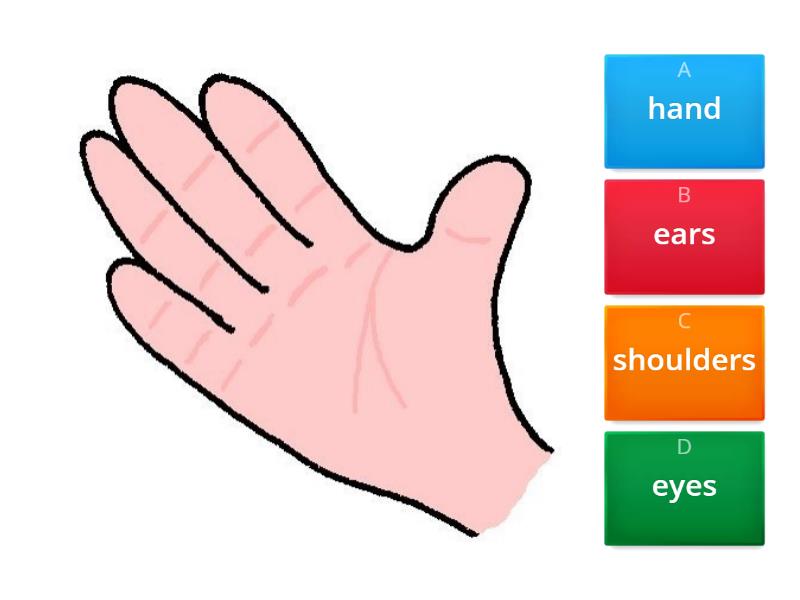 2.sınıf 7.ünite body parts - Test