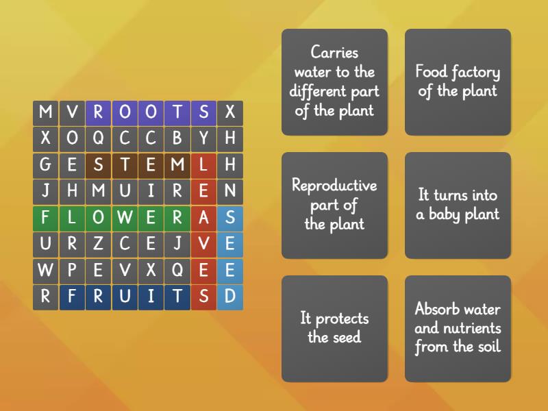 parts of a Plant - Wordsearch