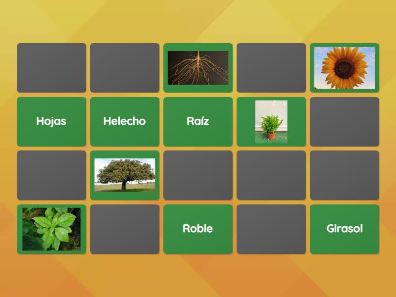 Memory de plantas - Matching pairs