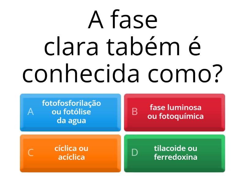 fase clara e fase escura - Cuestionario