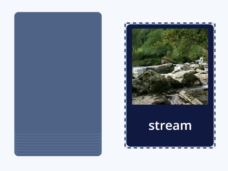 The natural world flash cards - Speaking cards