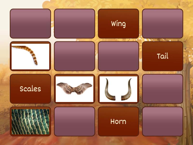 SuperMinds 4 Unit 6 - Parejas