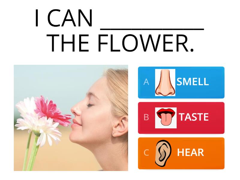 MY FIVE SENSES - Quiz