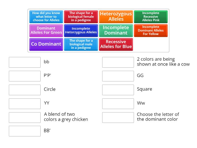 Mendelian Genetics Review - Match up