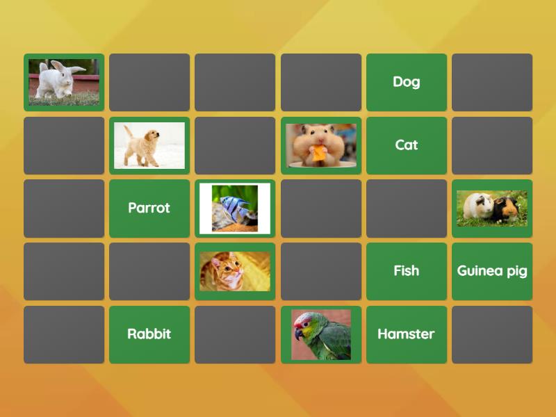 Pets - Matching pairs