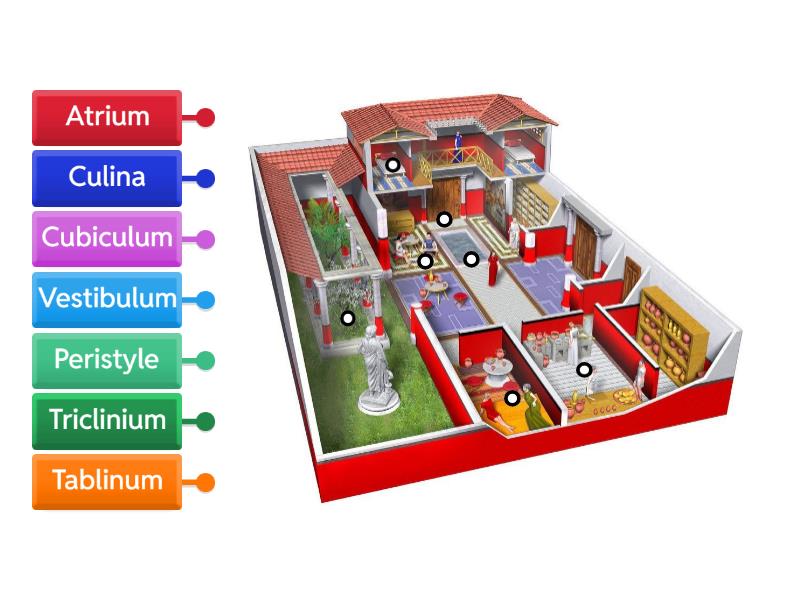Domus - Labelled diagram