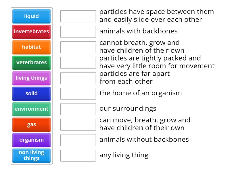 Yr 4 ELEMENTARY SCIENCE VOCABULARY REVIEW - Match up