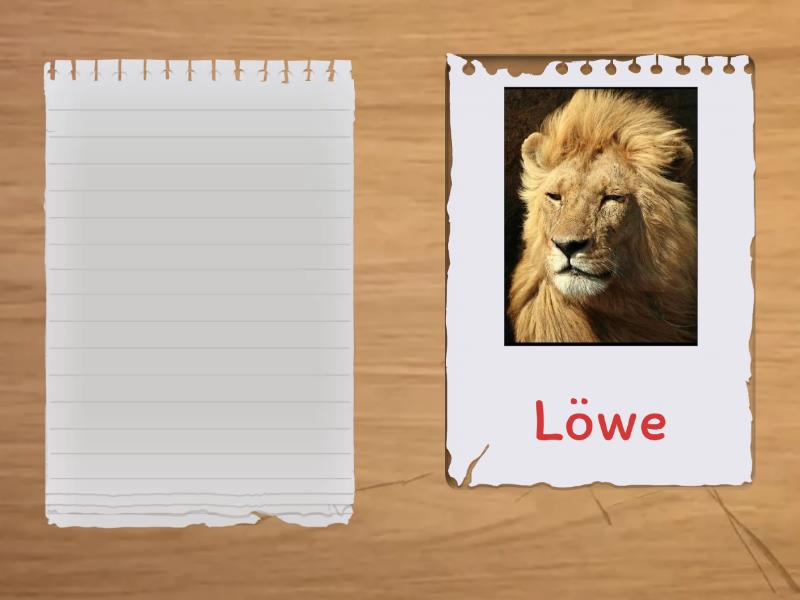 Wörter mit Ö - Speaking cards