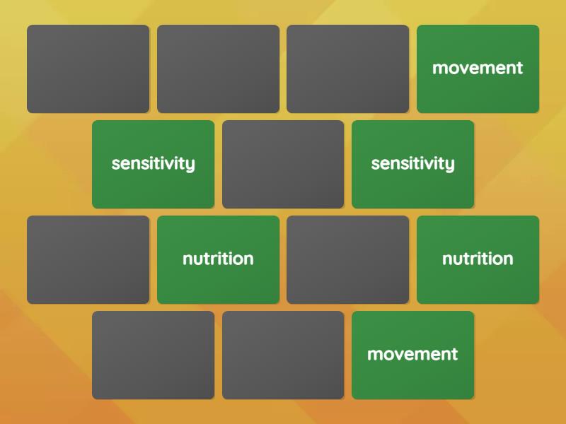 Mrs Nerg - Matching pairs