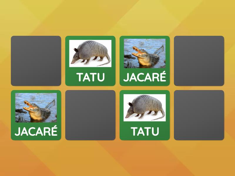 JOGO DE PALAVRAS EM TUPI - Matching pairs