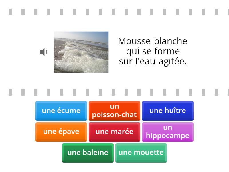 Thème : la MER - Find the match