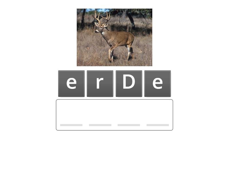 Unit 3: Animals - Anagram