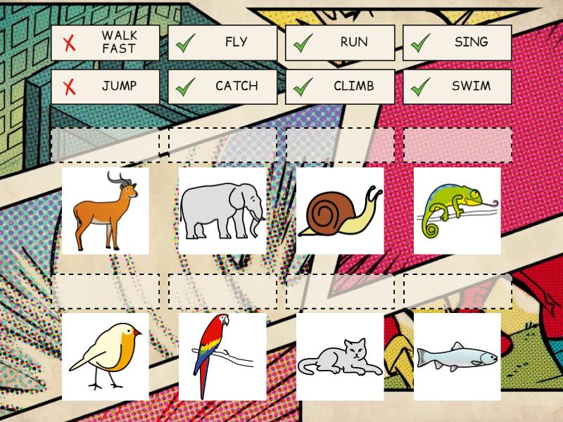 Animals & verbs - Match up