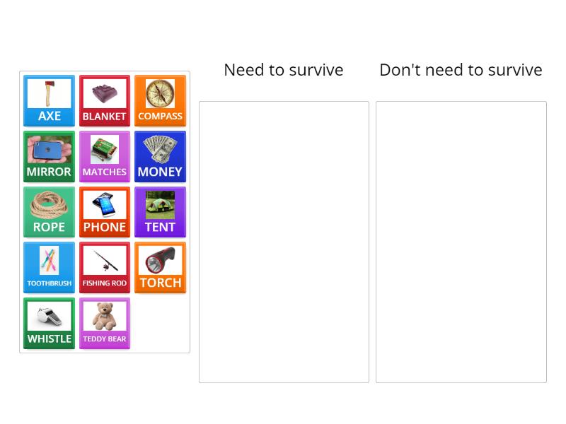 VISUAL ENGLISH 6 - UNIT14 - ARE YOU A SURVIVOR - Categorize