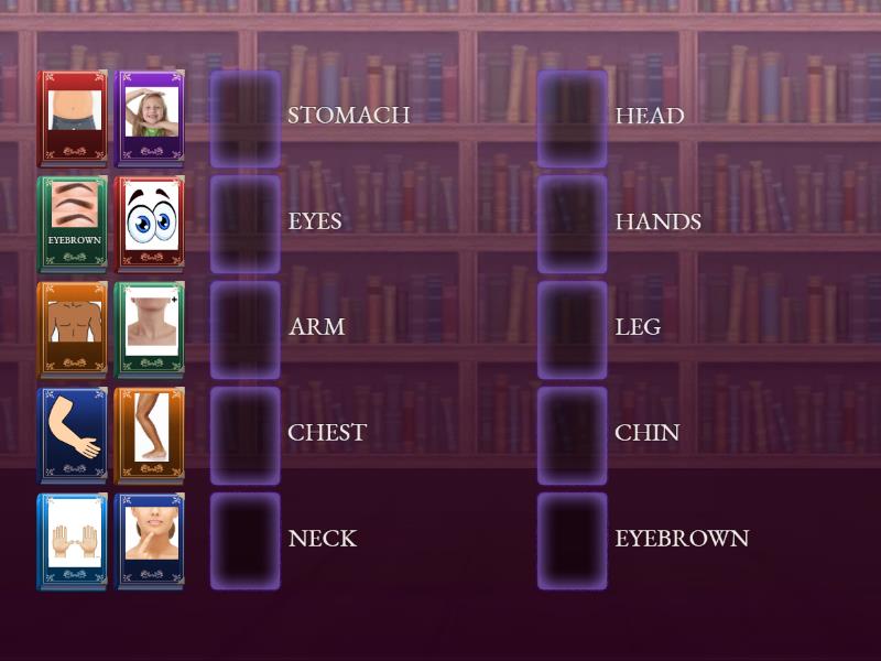 BODY PARTS CARTS - Match up