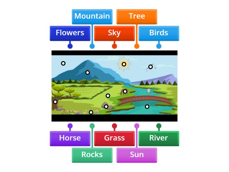 Landscaping - Labelled diagram