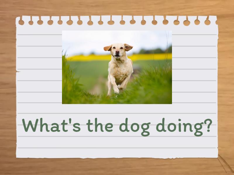 Extra practice - Present Continuous (speaking cards 2) - Flash cards