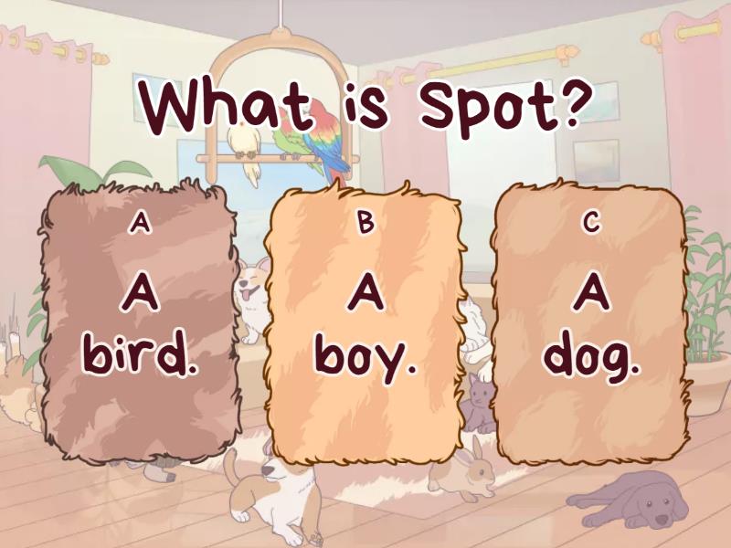 Catch, Spot! - Quiz