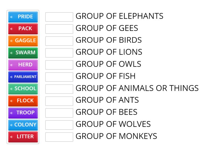 Collective Nouns Game - Match up