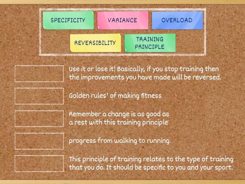 PE 12-TRAINING PRINCIPLES - Match up