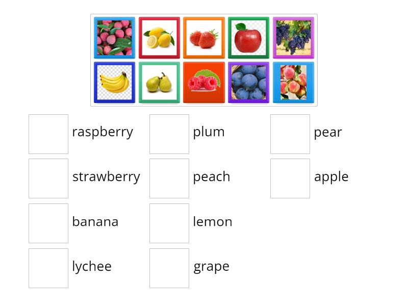 matching quiz - Match up