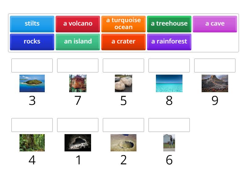 Focus 2Unit 4 Reading - Match up