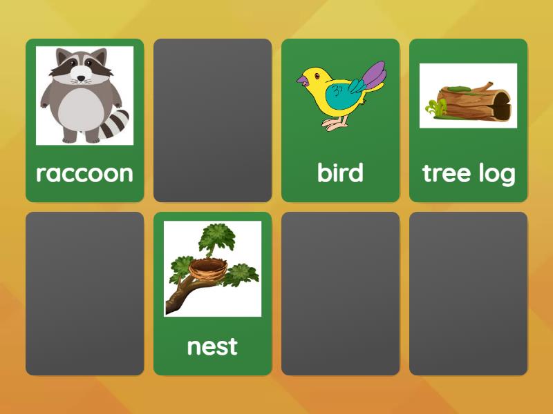 plants and animals together - Matching pairs