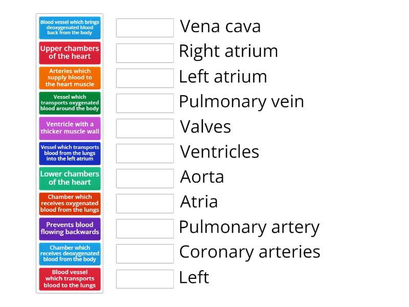 Flow of blood through the heart - Match up