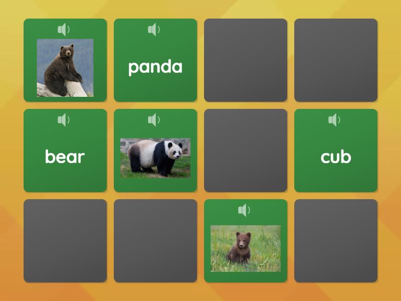 Playful bears vocabulary match - Matching pairs